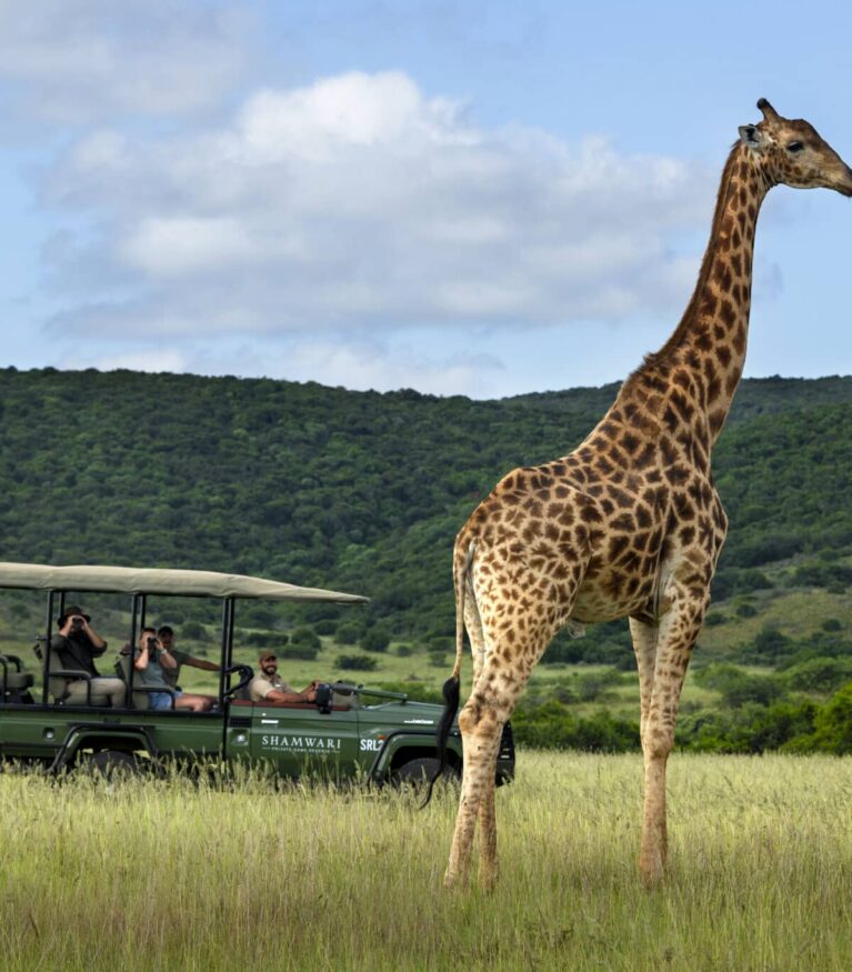 The Shamwari Story | Shamwari Private Game Reserve Eastern Cape