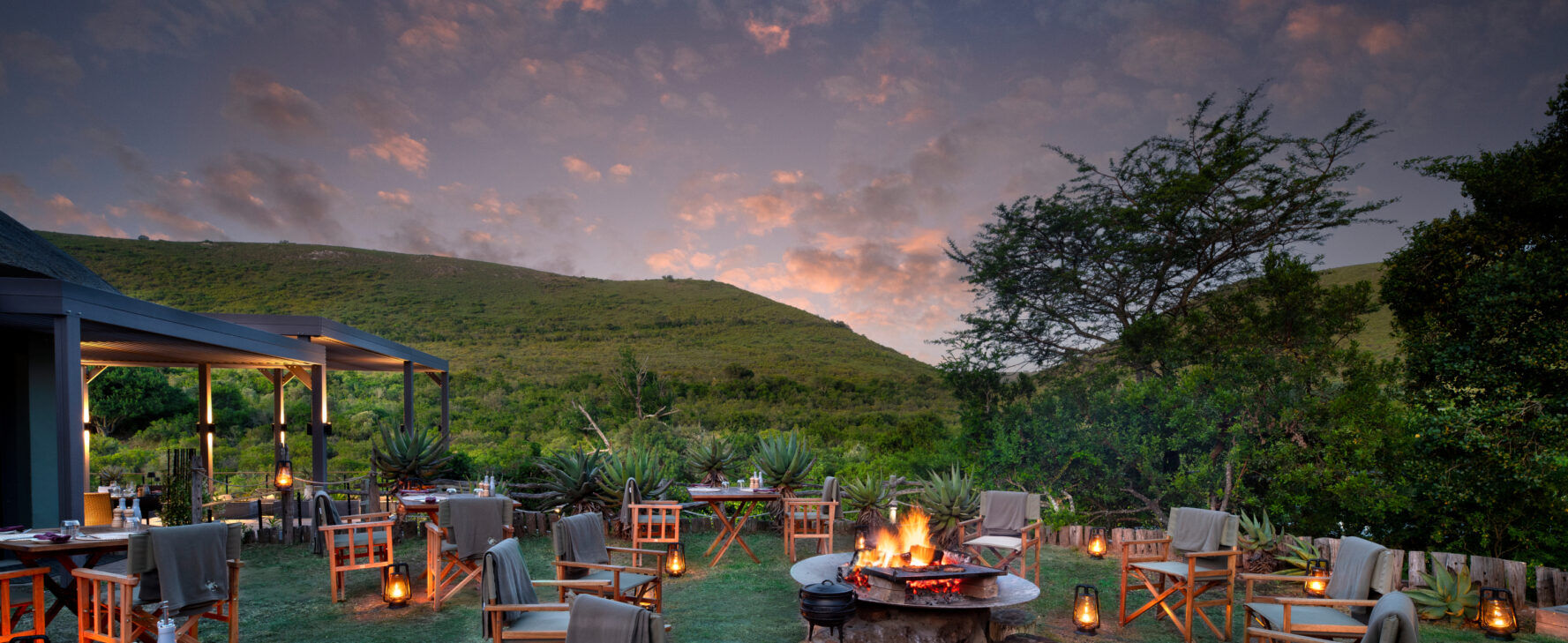 Shamwari Private Game Reserve | Eastern Cape Game Reserves