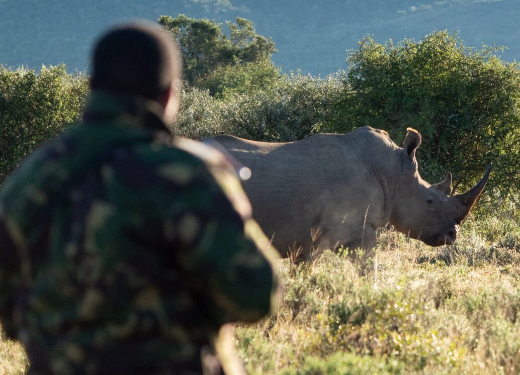 The Shamwari Foundation | Conservation South Africa