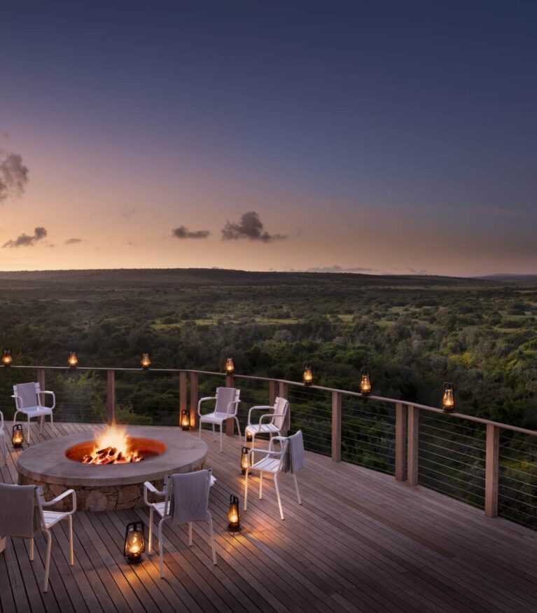 Shamwari Private Game Reserve | Eastern Cape Game Reserves