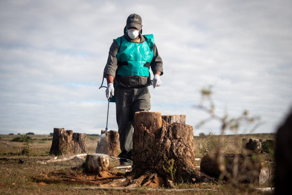 The Shamwari Foundation | Conservation South Africa