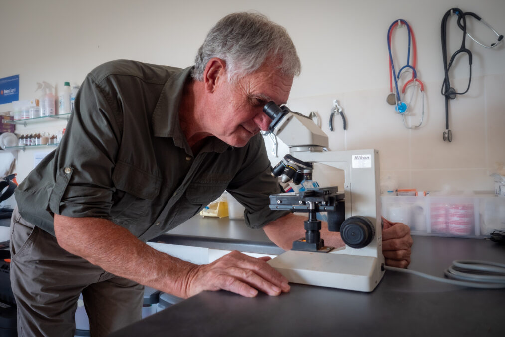 The Shamwari Foundation | Conservation South Africa