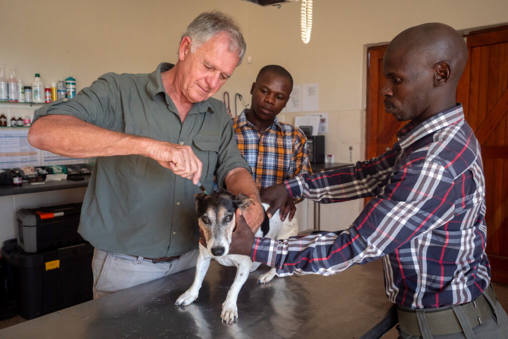 The Shamwari Foundation | Conservation South Africa
