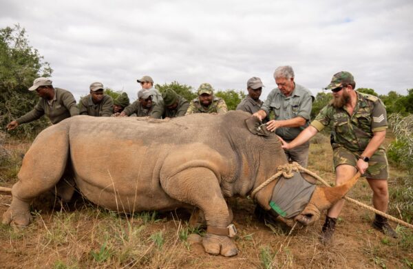 The Shamwari Story | Shamwari Private Game Reserve Eastern Cape