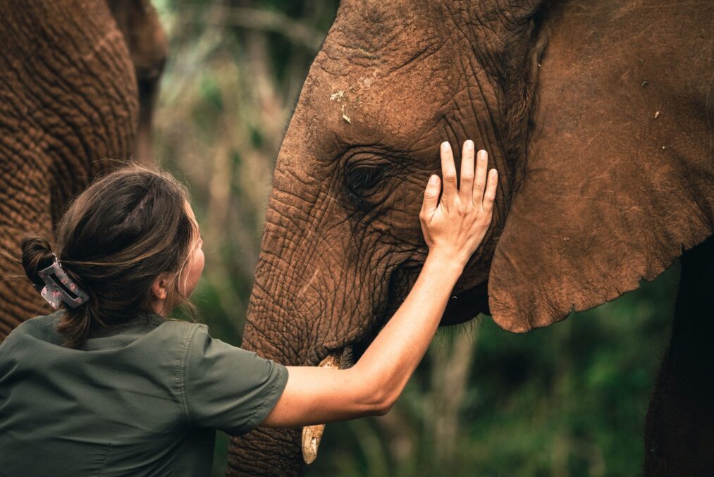 The Shamwari Foundation | Conservation South Africa