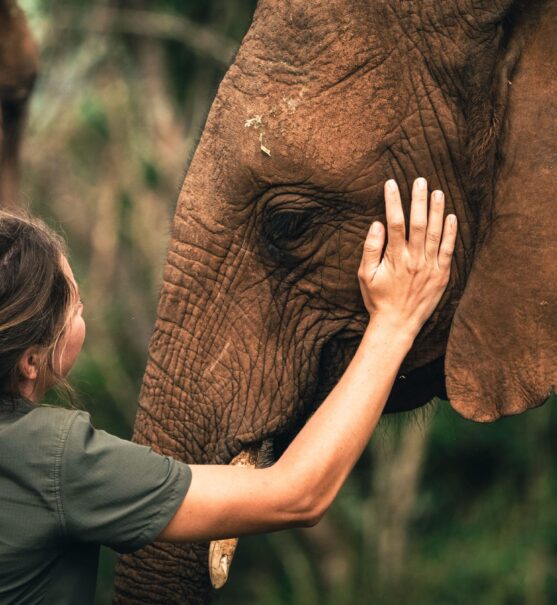 The Shamwari Foundation | Conservation South Africa