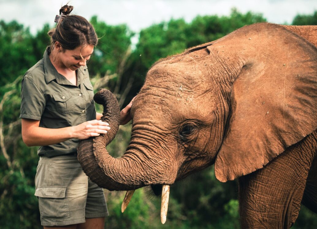 The Shamwari Foundation | Conservation South Africa