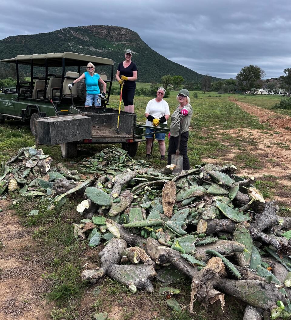 Alien Vegetation | Invasive Plant Control Programme | Shamwari