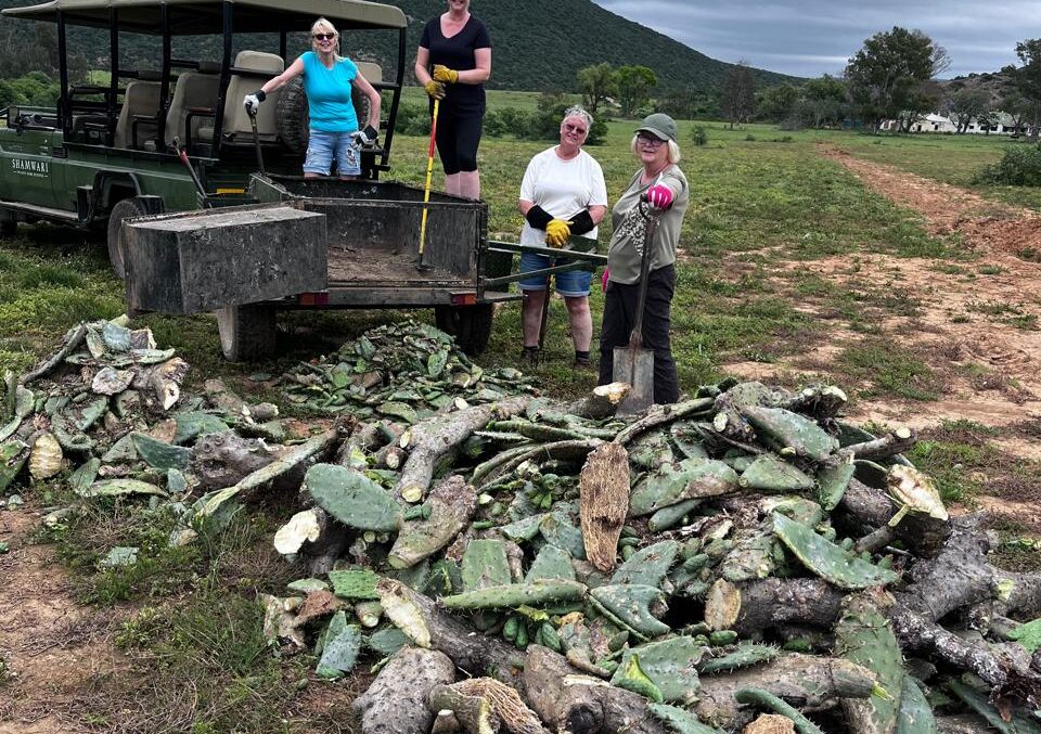 The Shamwari Foundation | Conservation South Africa