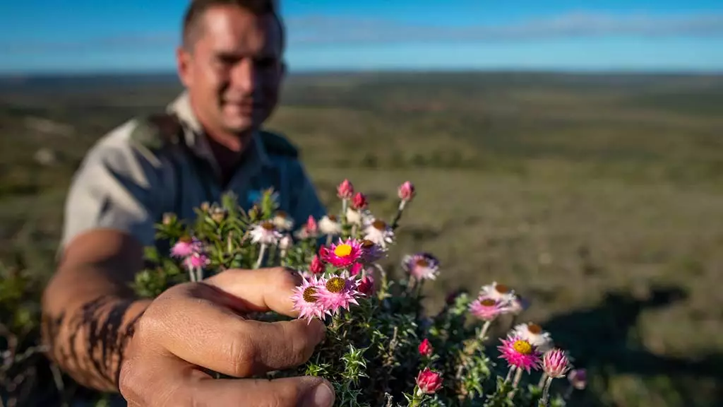 How To Become A Game Ranger Or Field Guide | Shamwari