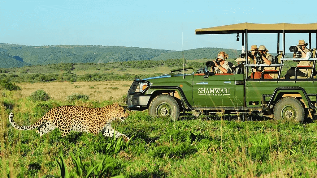 Must See Safari Animals in Africa | Shamwari Private Game Reserve