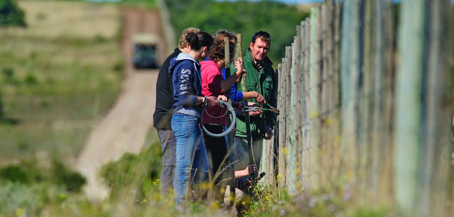 Shamwari Conservation Experience | South Africa Conservation Volunteer
