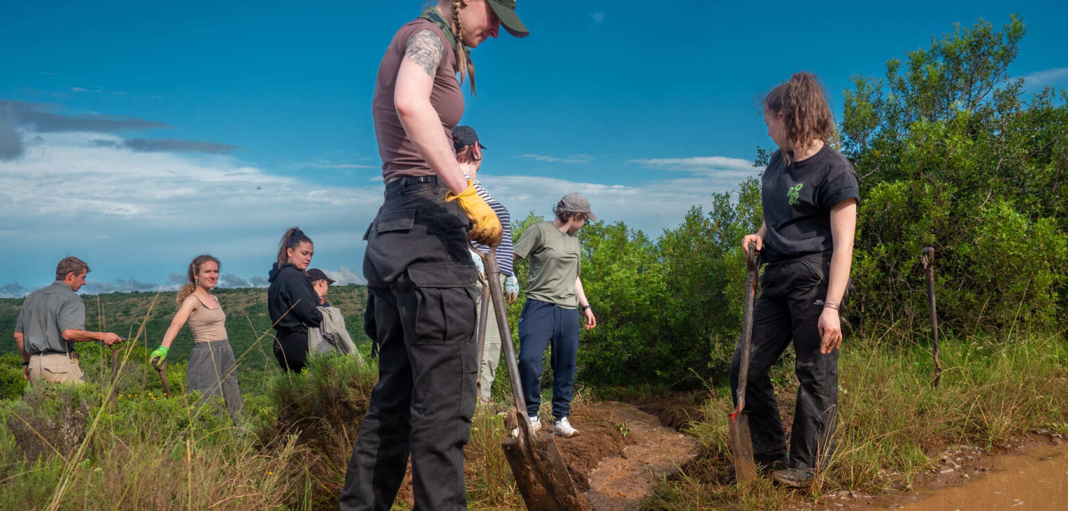 Shamwari Conservation Experience | South Africa Conservation Volunteer