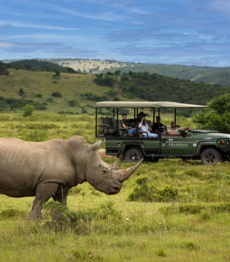 Shamwari Private Game Reserve | Eastern Cape Game Reserves