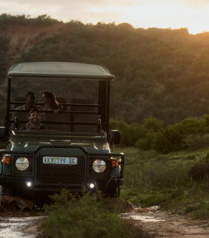 Shamwari Private Game Reserve | Eastern Cape Game Reserves